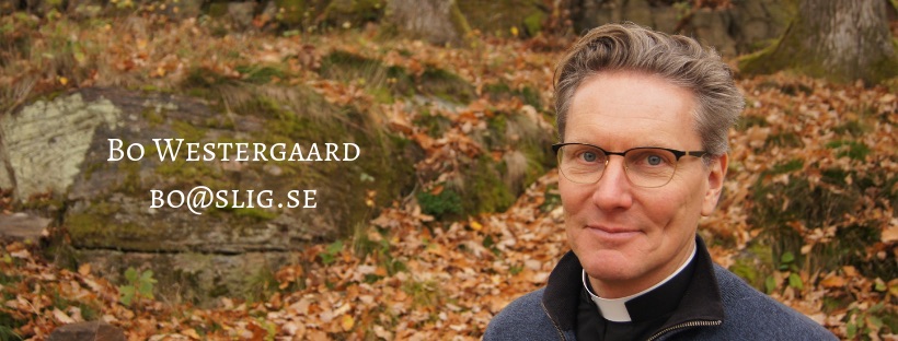 Om mig – Bo Westergaard